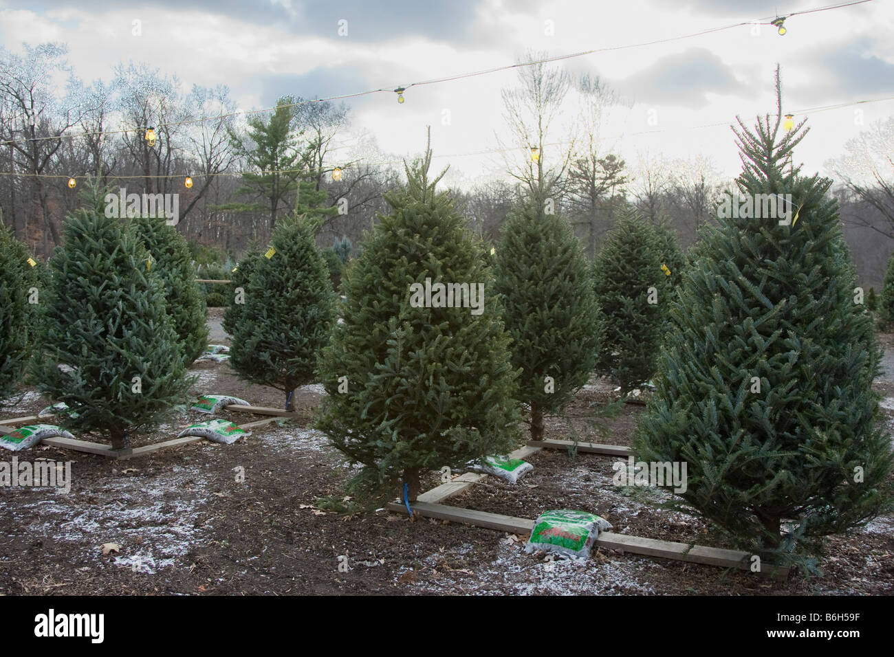 Christmas display farm hi-res stock photography and images - Alamy