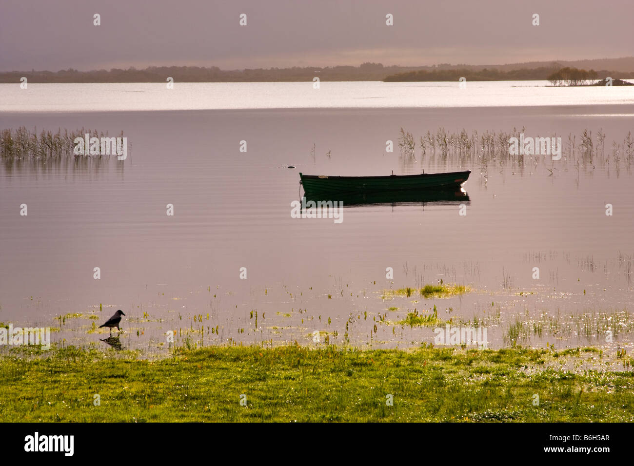 Swamped boat hi-res stock photography and images - Alamy