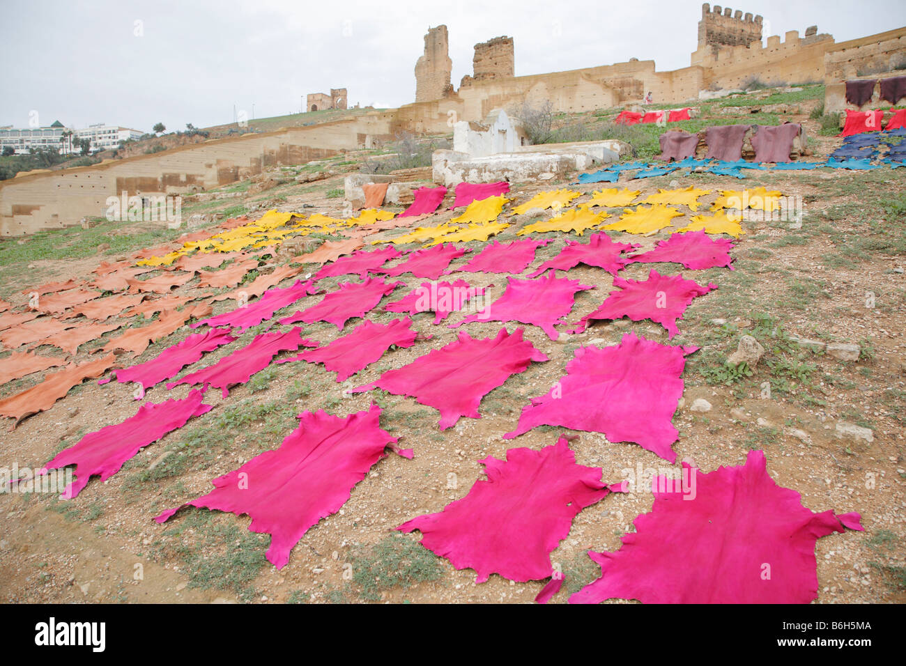 Colored leather drying outdoors, tannery, Fes, Morocco, Africa Stock ...
