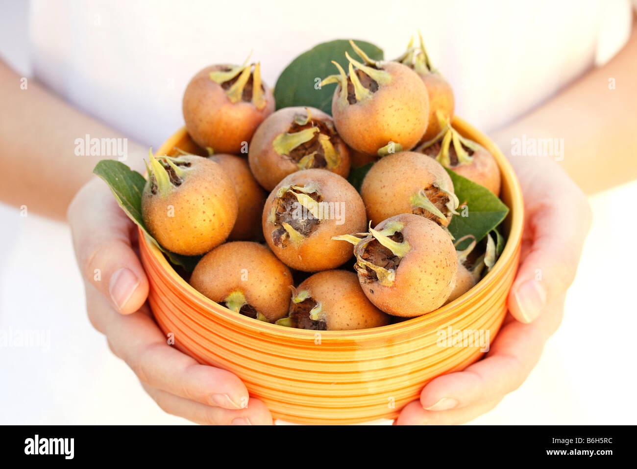 Meldar hi-res stock photography and images - Alamy