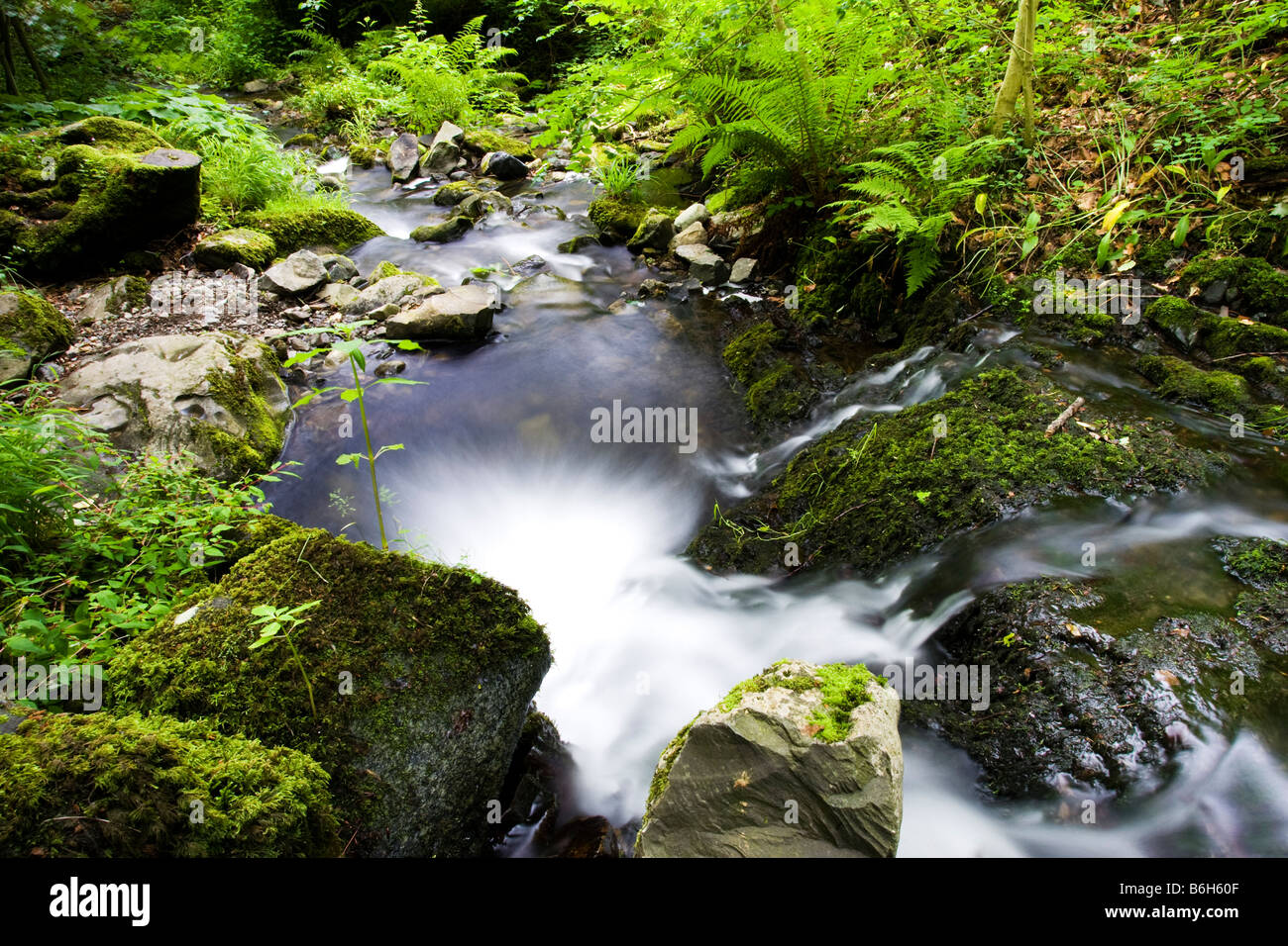 Waterfall Mountain Stream Lake