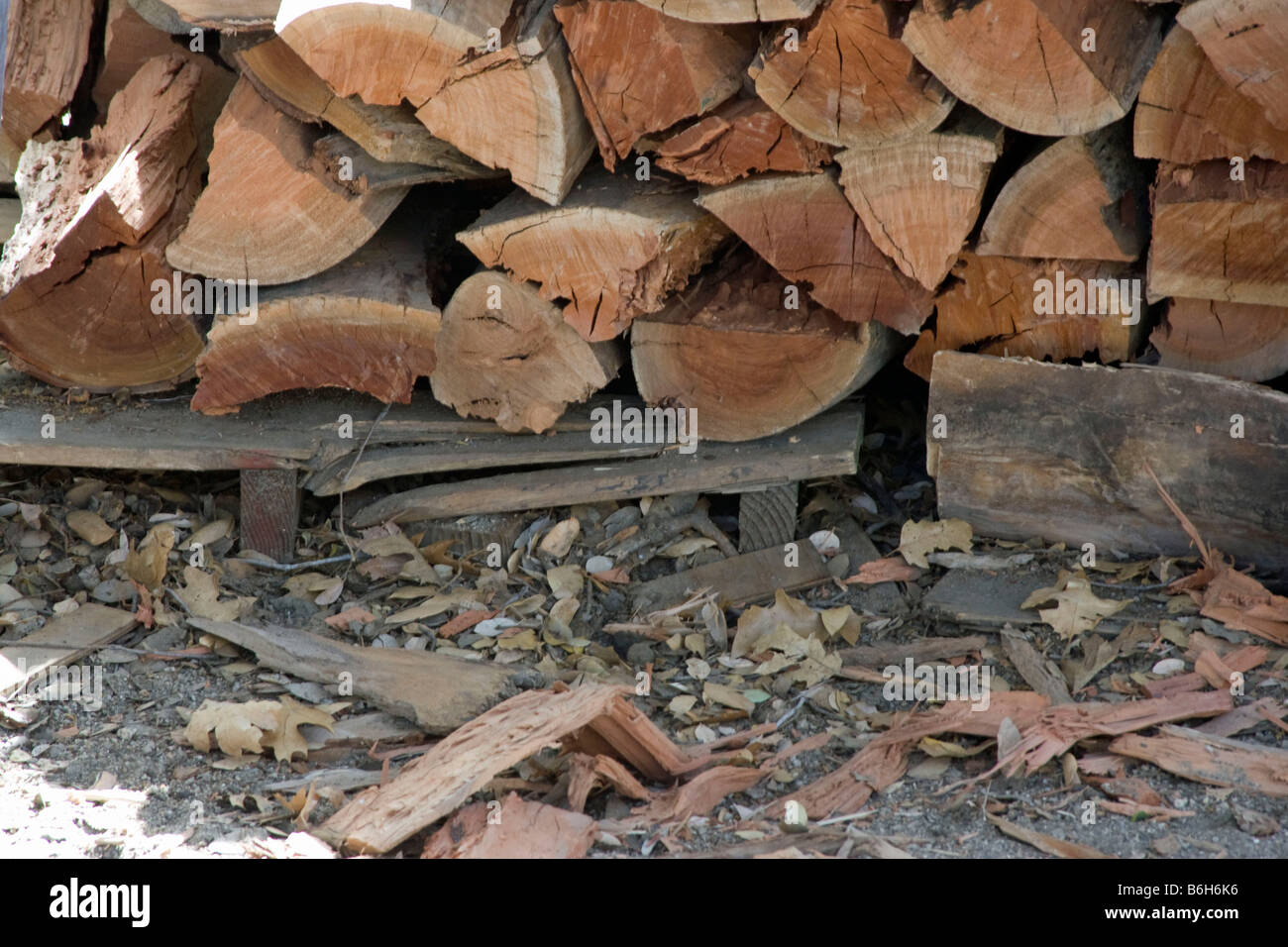 Logs split for fire Stock Photo - Alamy
