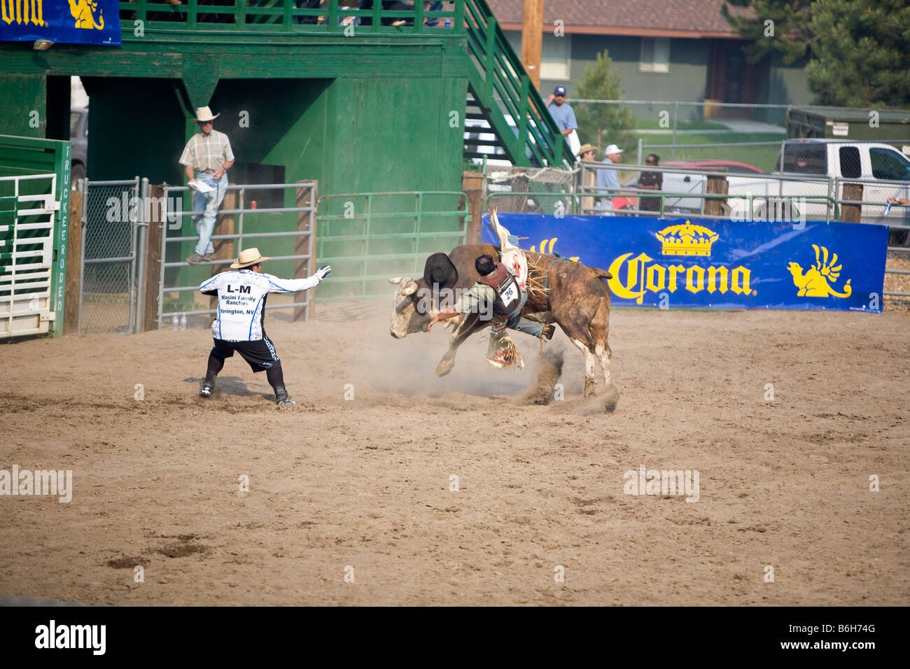 cowboy getting flung off bull Stock Photo - Alamy