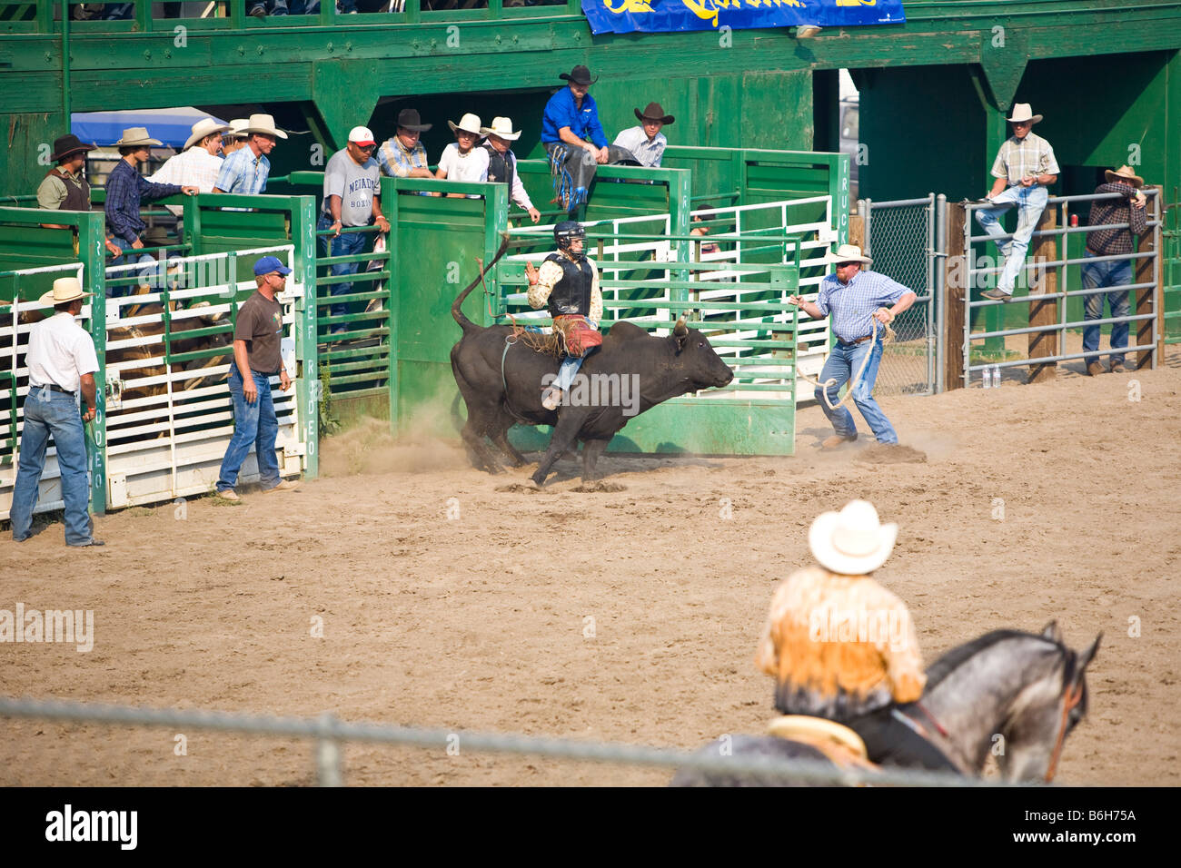 Bull Rodeo Stock Photos & Bull Rodeo Stock Images - Alamy
