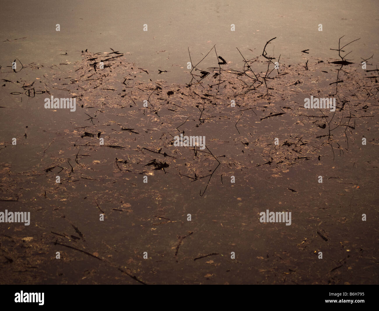 Filthy water hi-res stock photography and images - Alamy