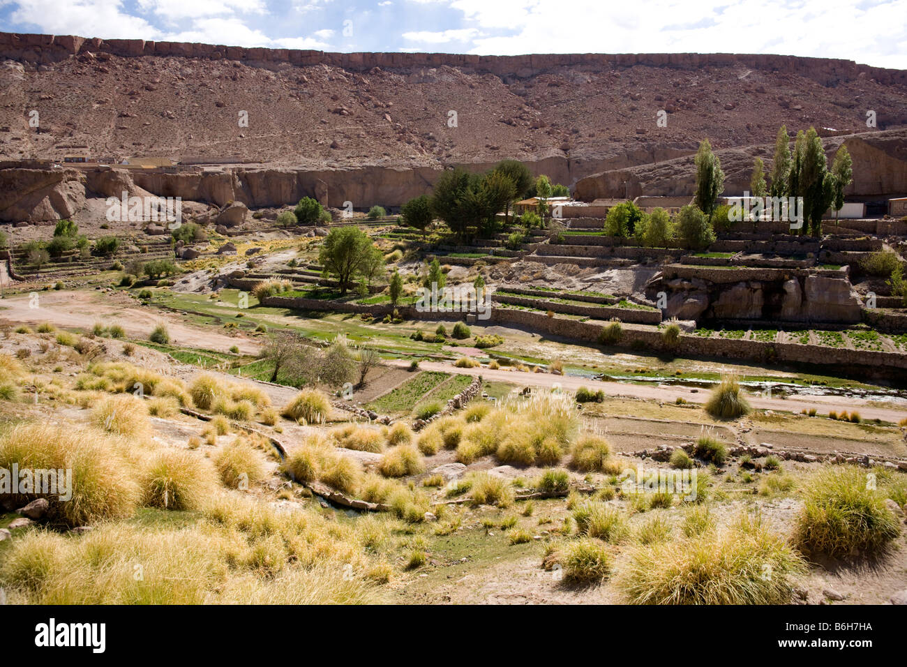 Caspana, showing the fields and irrigation terraces, Atacama Desert ...