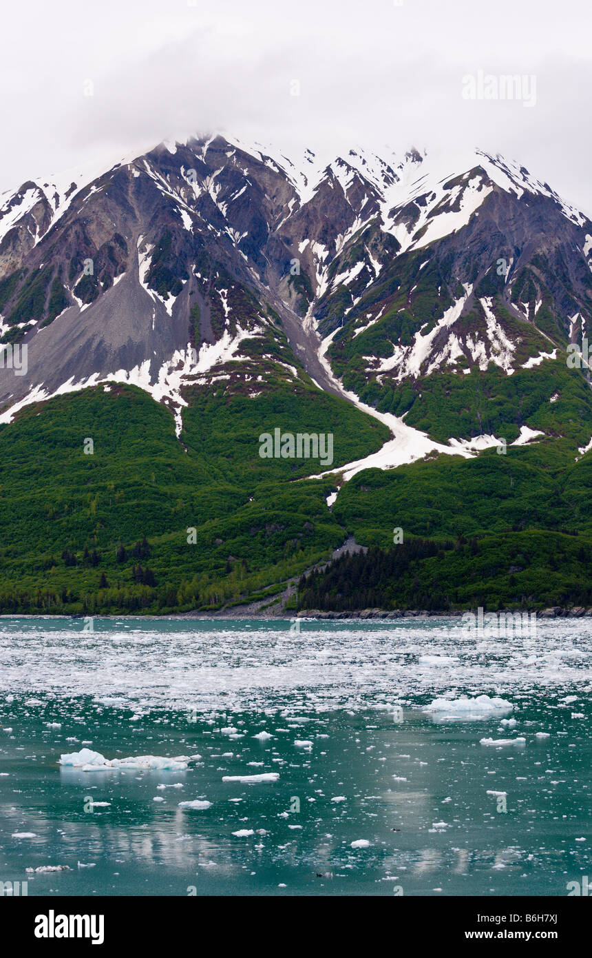 "Disenchantment Bay" Alaska USA Stock Photo - Alamy