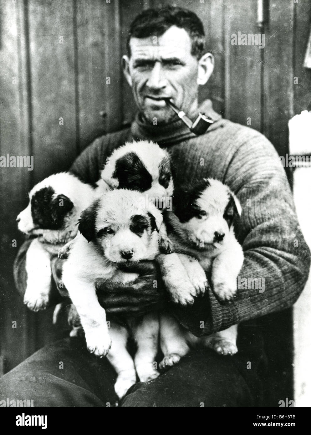 SHACKLETON ANTARCTIC EXPEDITION 1914/15 Tom Crean with Husky puppies ...
