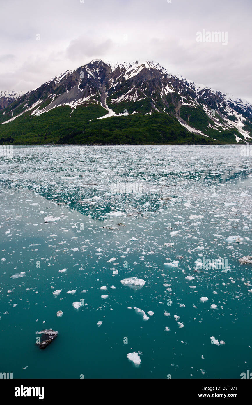 "Disenchantment Bay" Alaska USA Stock Photo - Alamy