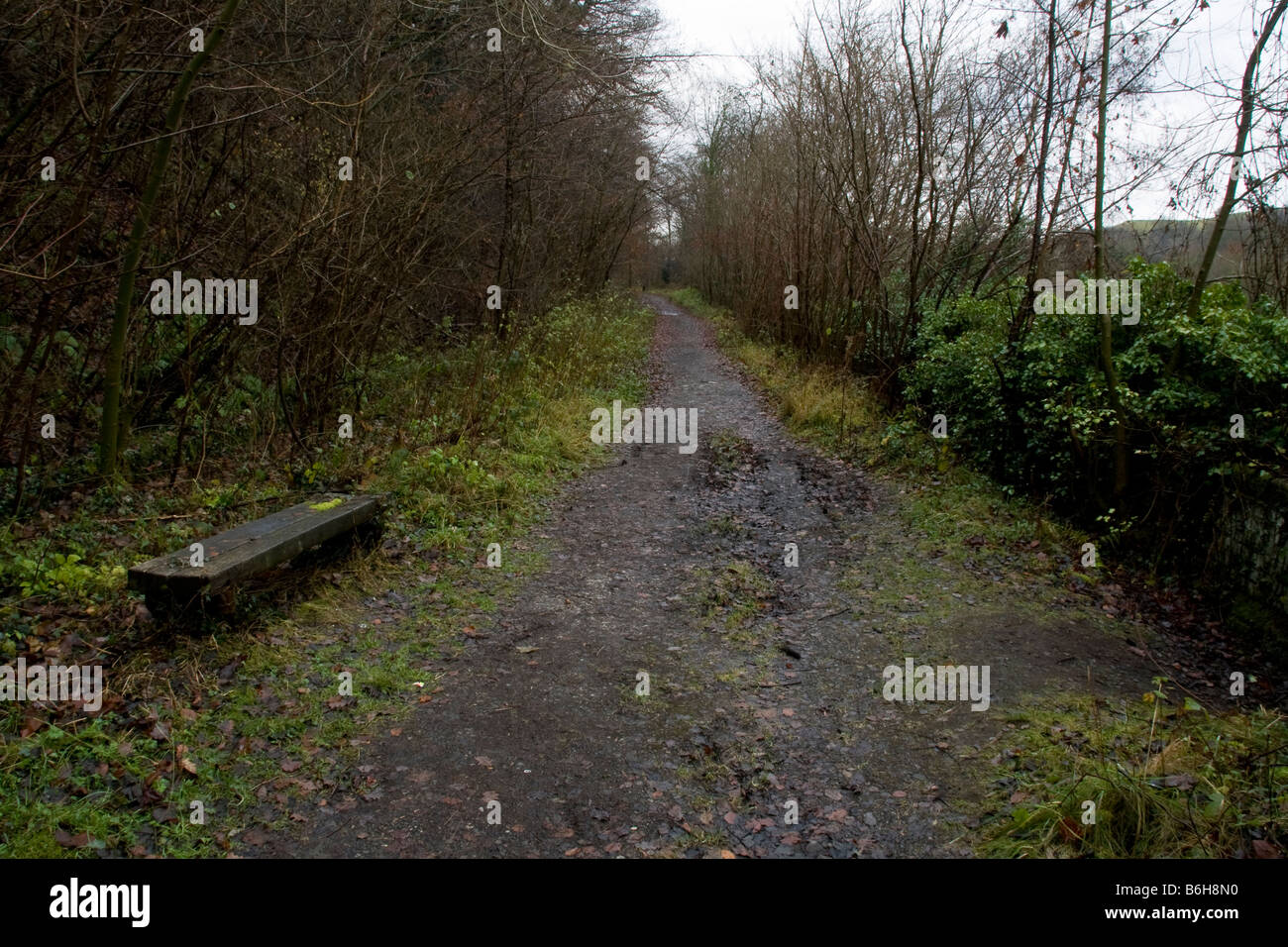 Disused Severn valley Railway line at Benthall Edge Woods Ironbridge ...