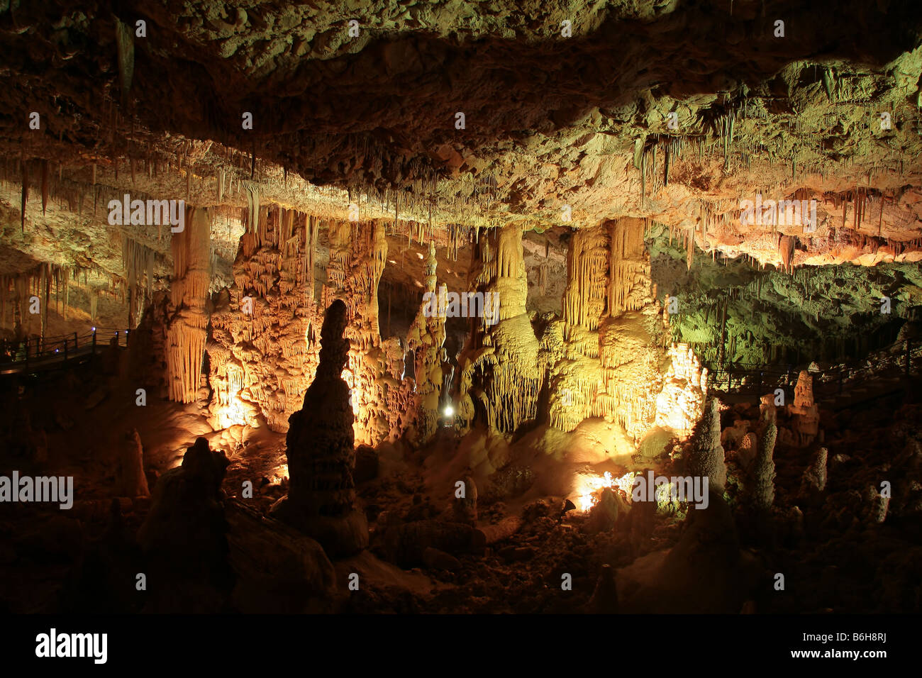 Cave ecosystem hi-res stock photography and images - Alamy