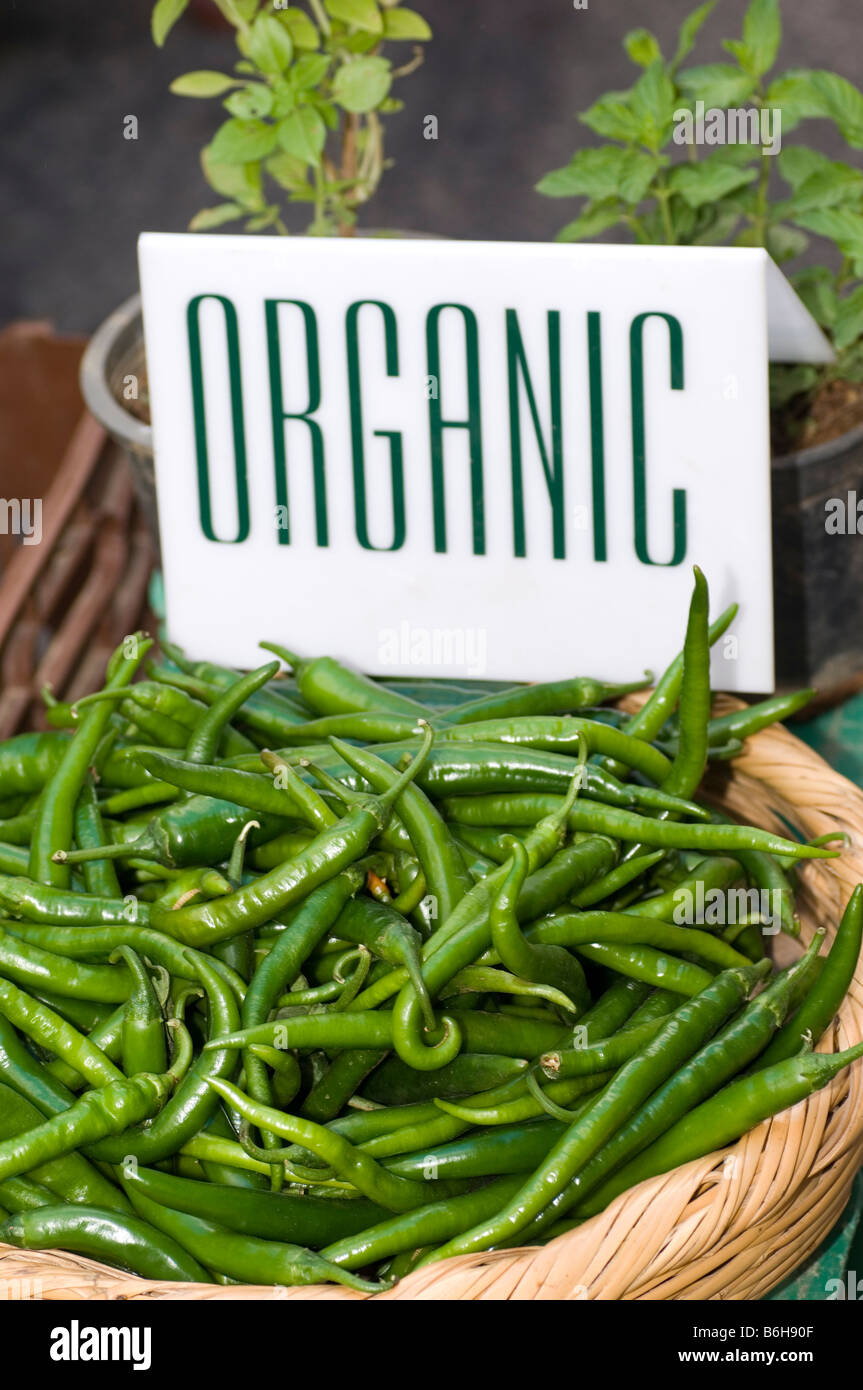 Chilli sign hi-res stock photography and images - Alamy