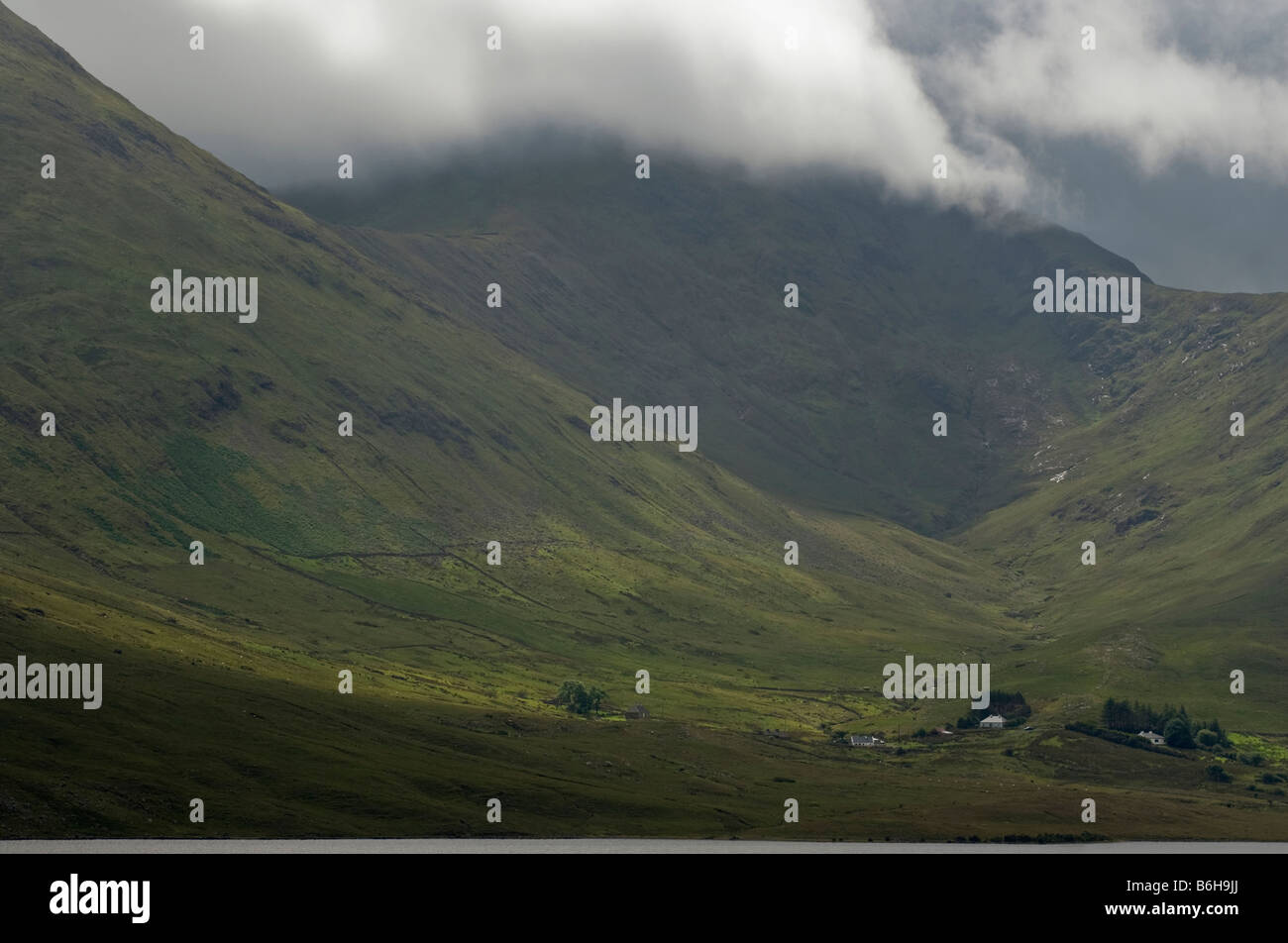 Finny hi-res stock photography and images - Alamy