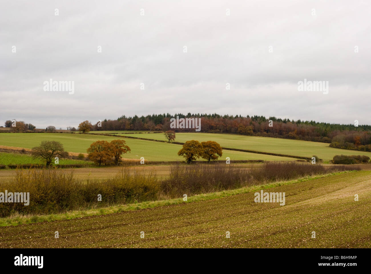 Bramdean hi-res stock photography and images - Alamy