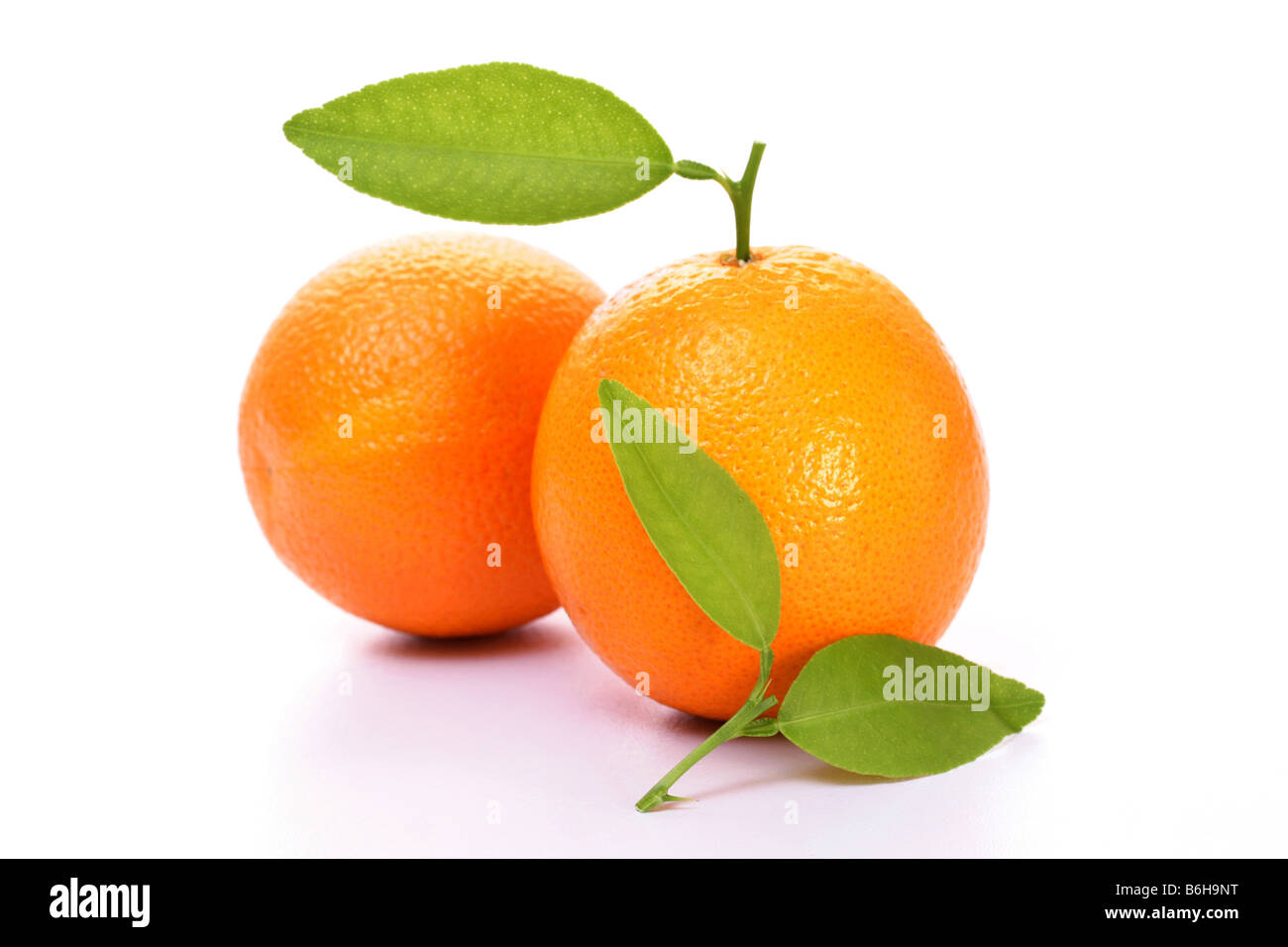 Orange orchard hi-res stock photography and images - Alamy