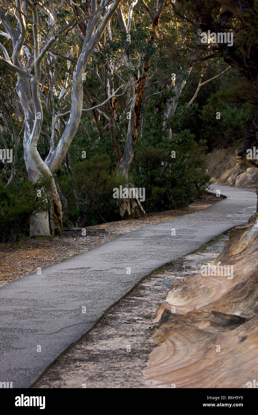 Blue Mountain Path Stock Photo - Alamy