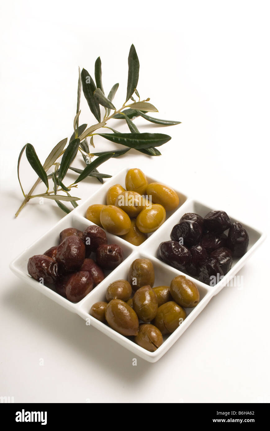 olive and olive branch Stock Photo - Alamy