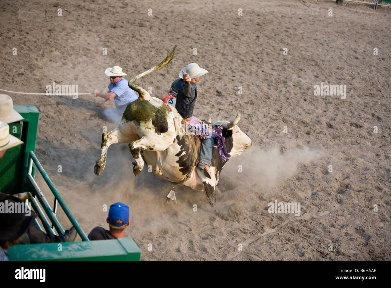 Cowboy riding bucking bull hi-res stock photography and images - Alamy