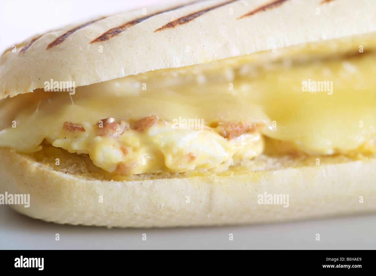 Panini filled with melted Cheese Mozzarella cheese with bacon in close ...