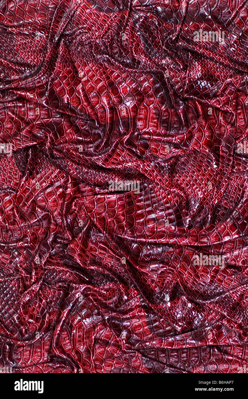Snake skin close up hi-res stock photography and images - Alamy