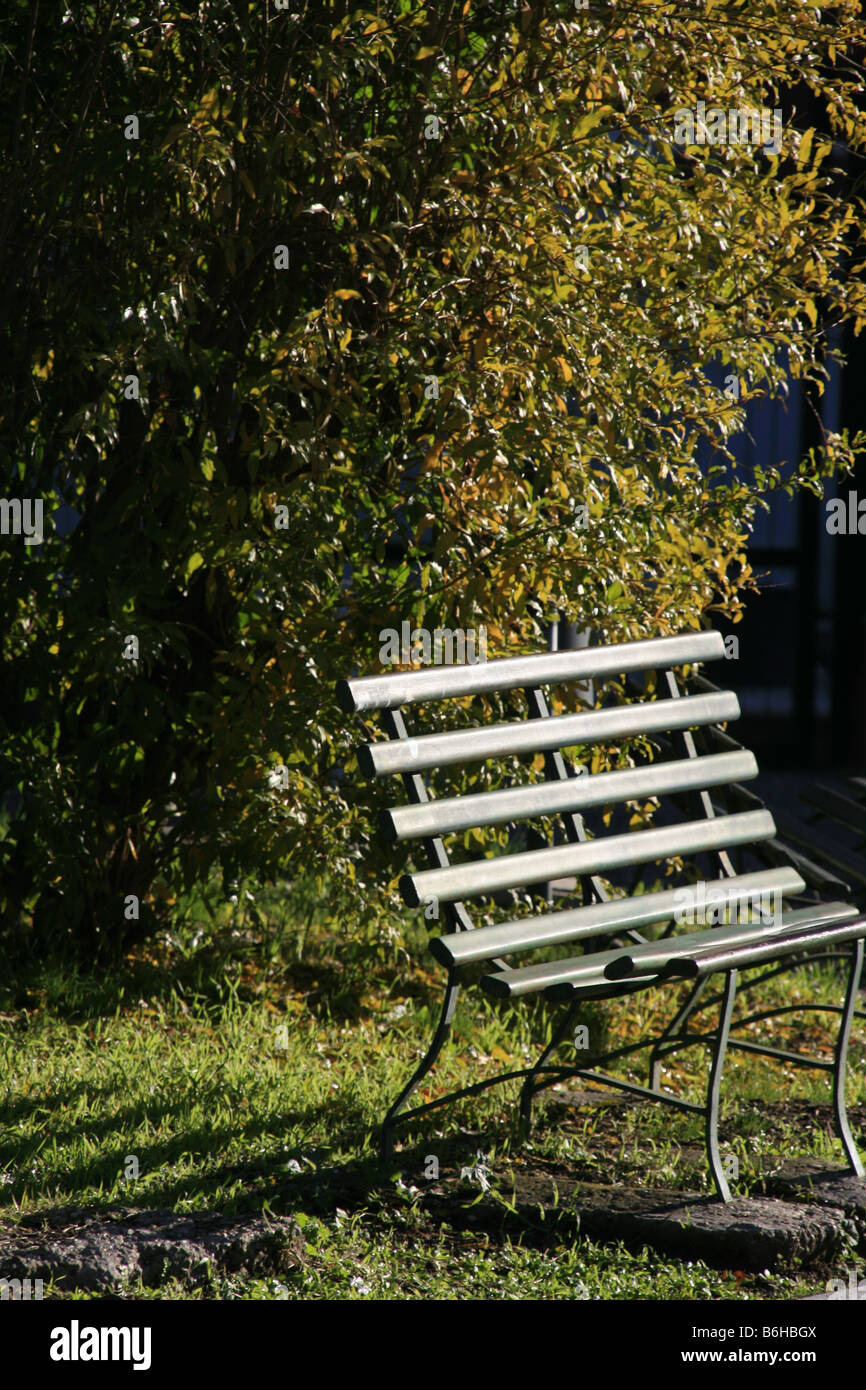 one empty green metal bench in park with tree Stock Photo - Alamy