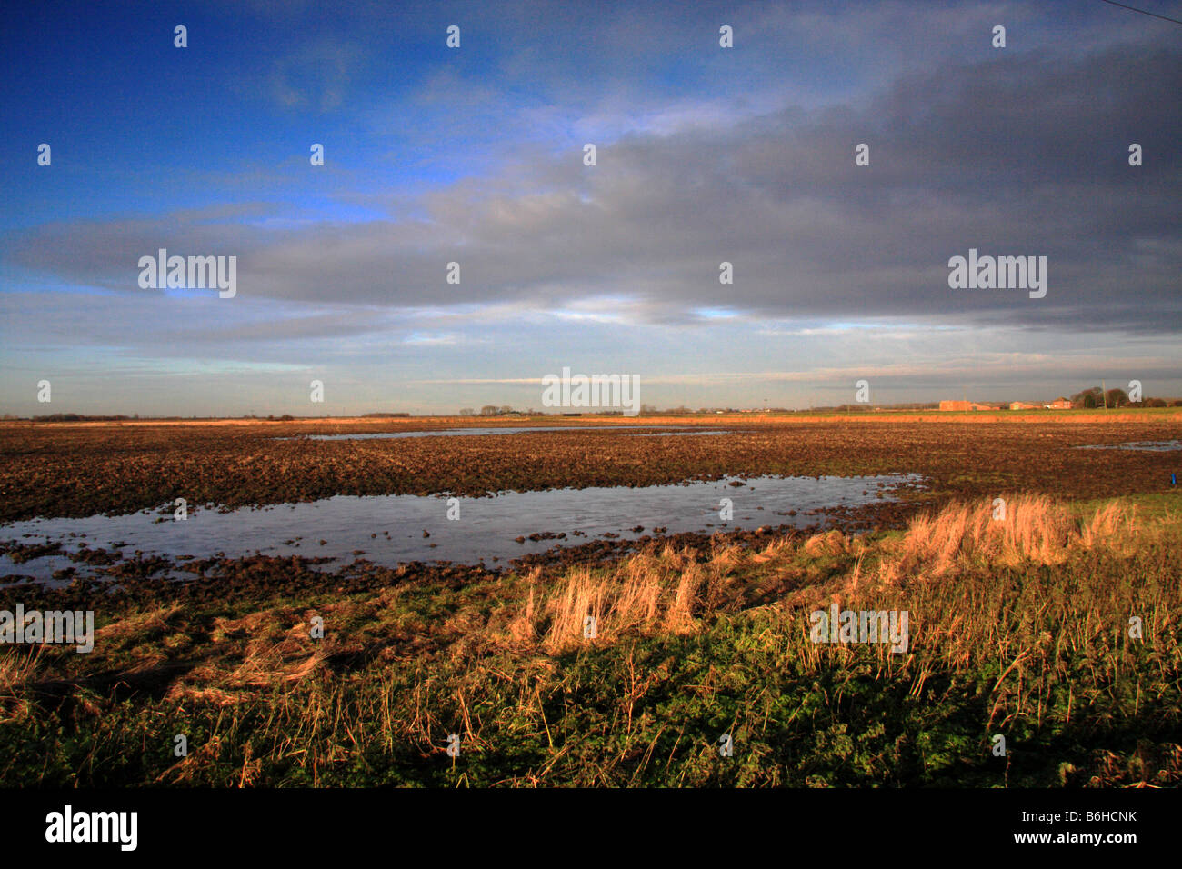 Fenland hi-res stock photography and images - Alamy