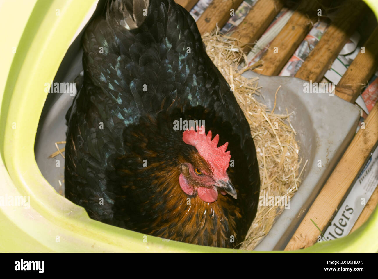 Eglu hi-res stock photography and images - Alamy