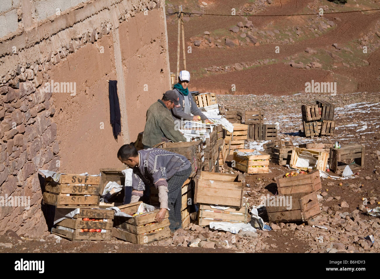 Sorting into crates hi-res stock photography and images - Alamy
