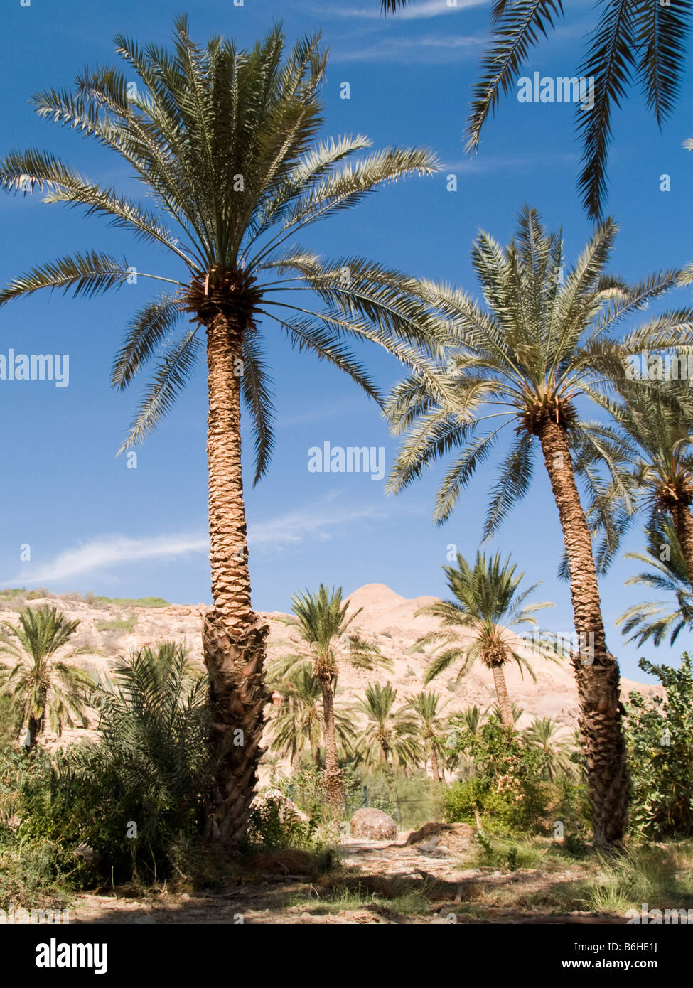 Jehuda hi-res stock photography and images - Alamy