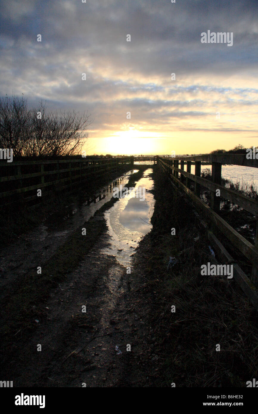 A flooded track leading to a field gate in the fens Stock Photo - Alamy