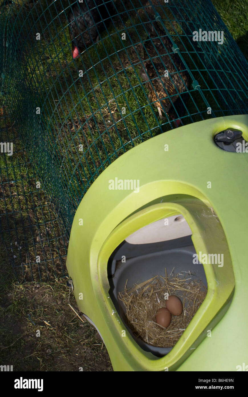 The Omlet Eglu chicken house Stock Photo - Alamy