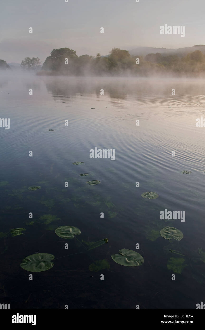 Misty morning at Esthwaite water located between Near Sawrey and ...
