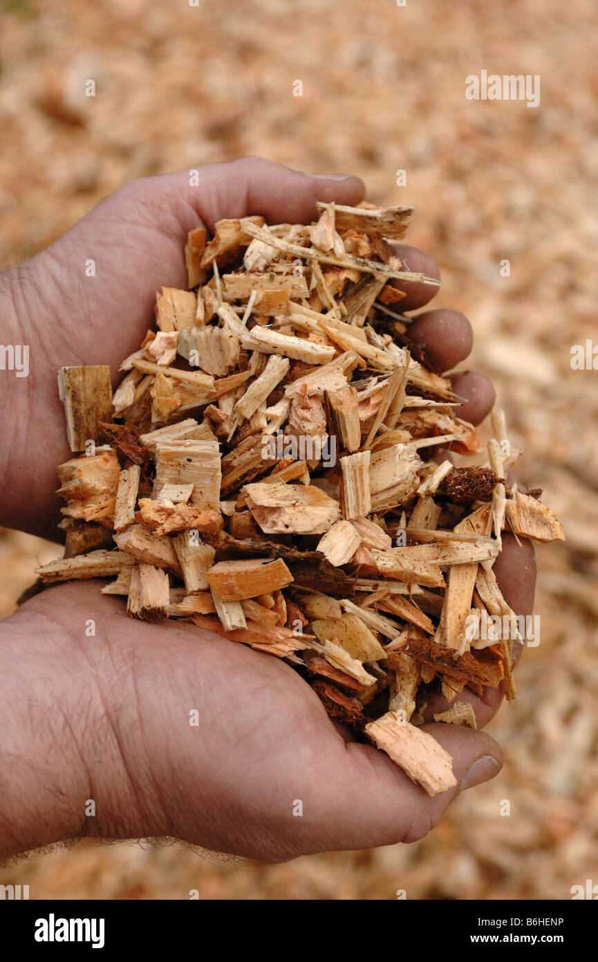 Using a mobile Woodchip machine to chop up logs for use in a biomass ...
