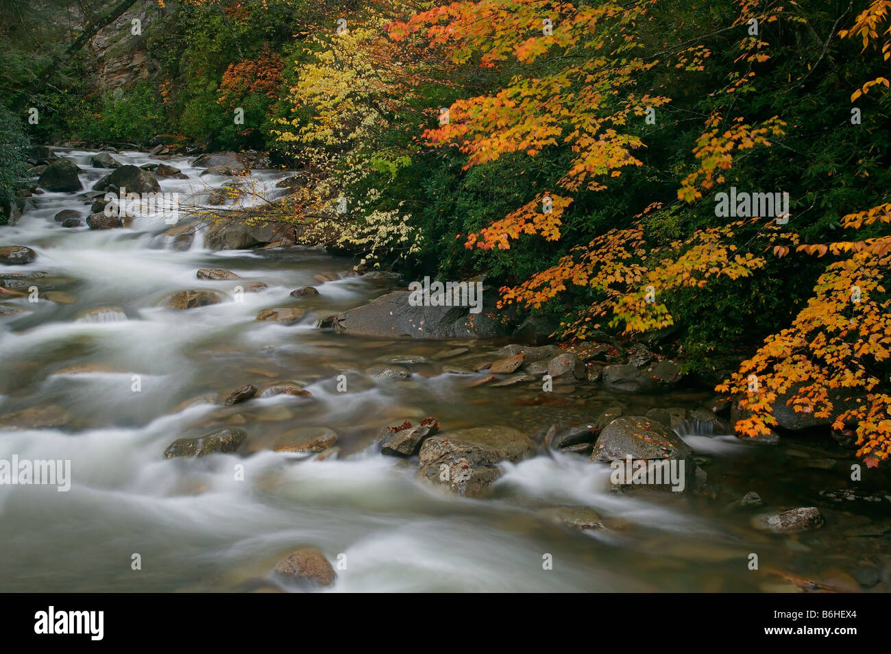 Fall river scene on the West Prong Little River in Great Smoky ...