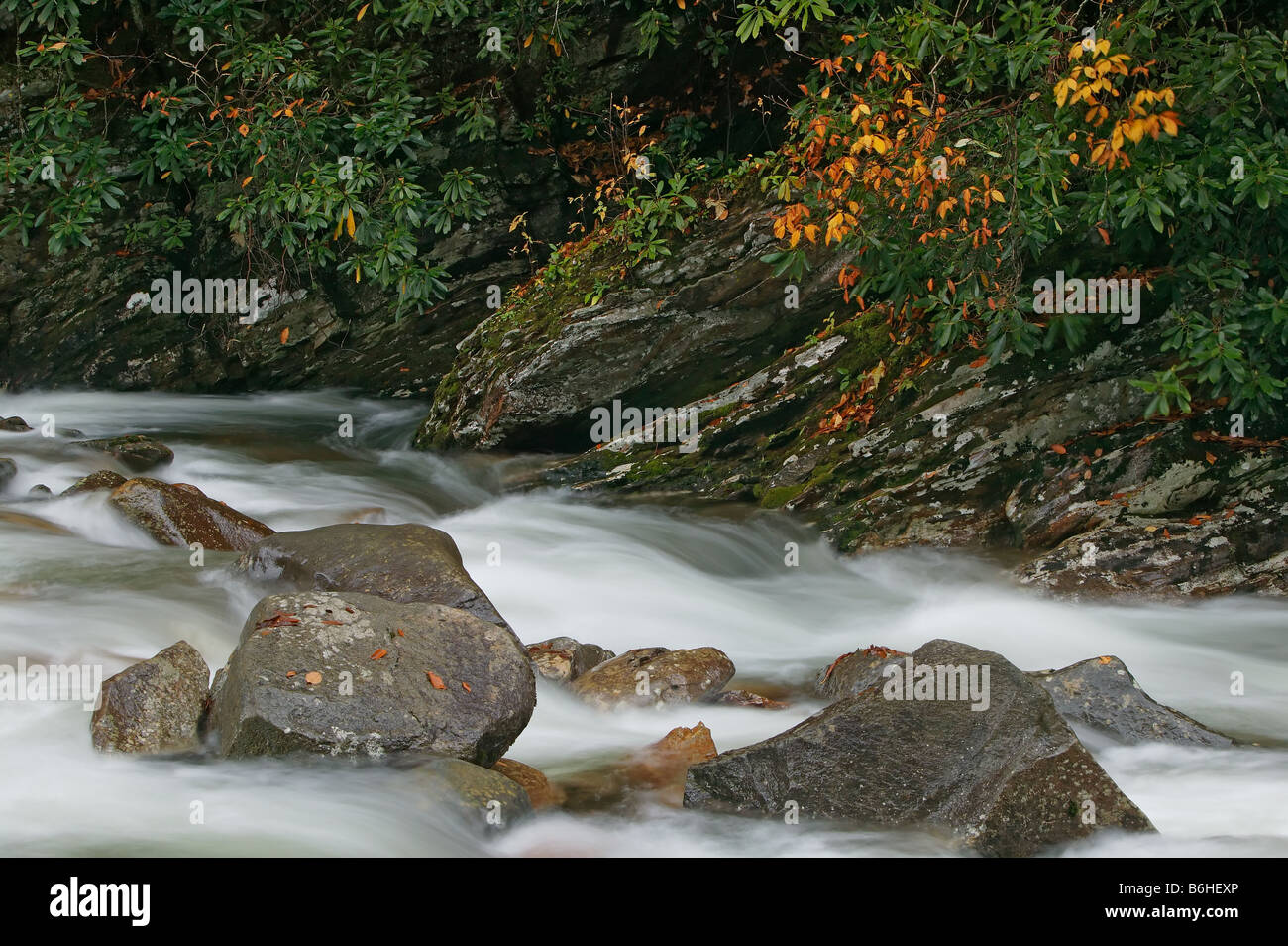 Fall river scene on the West Prong Little River in Great Smoky ...