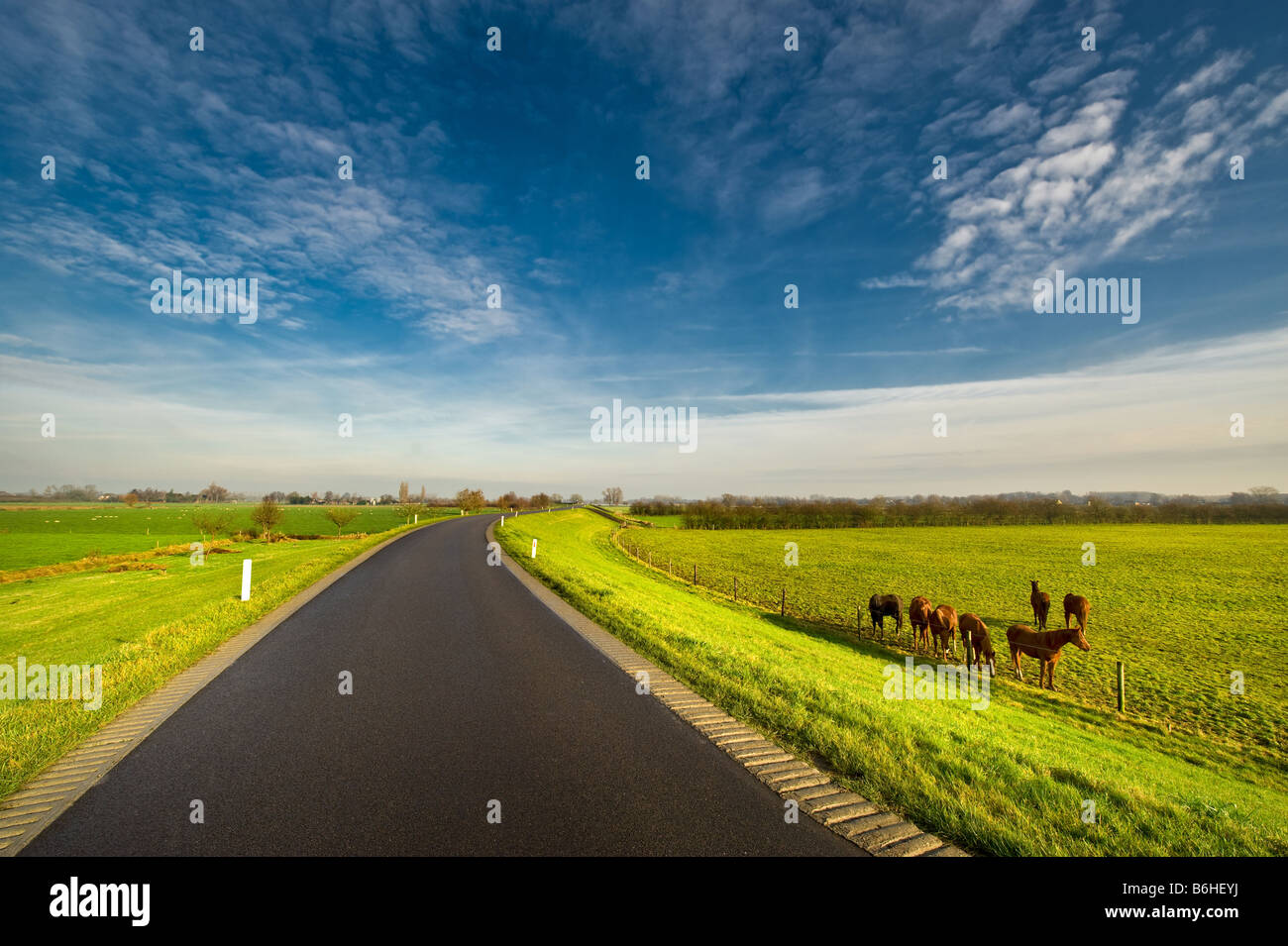 country road in the netherlands Stock Photo - Alamy
