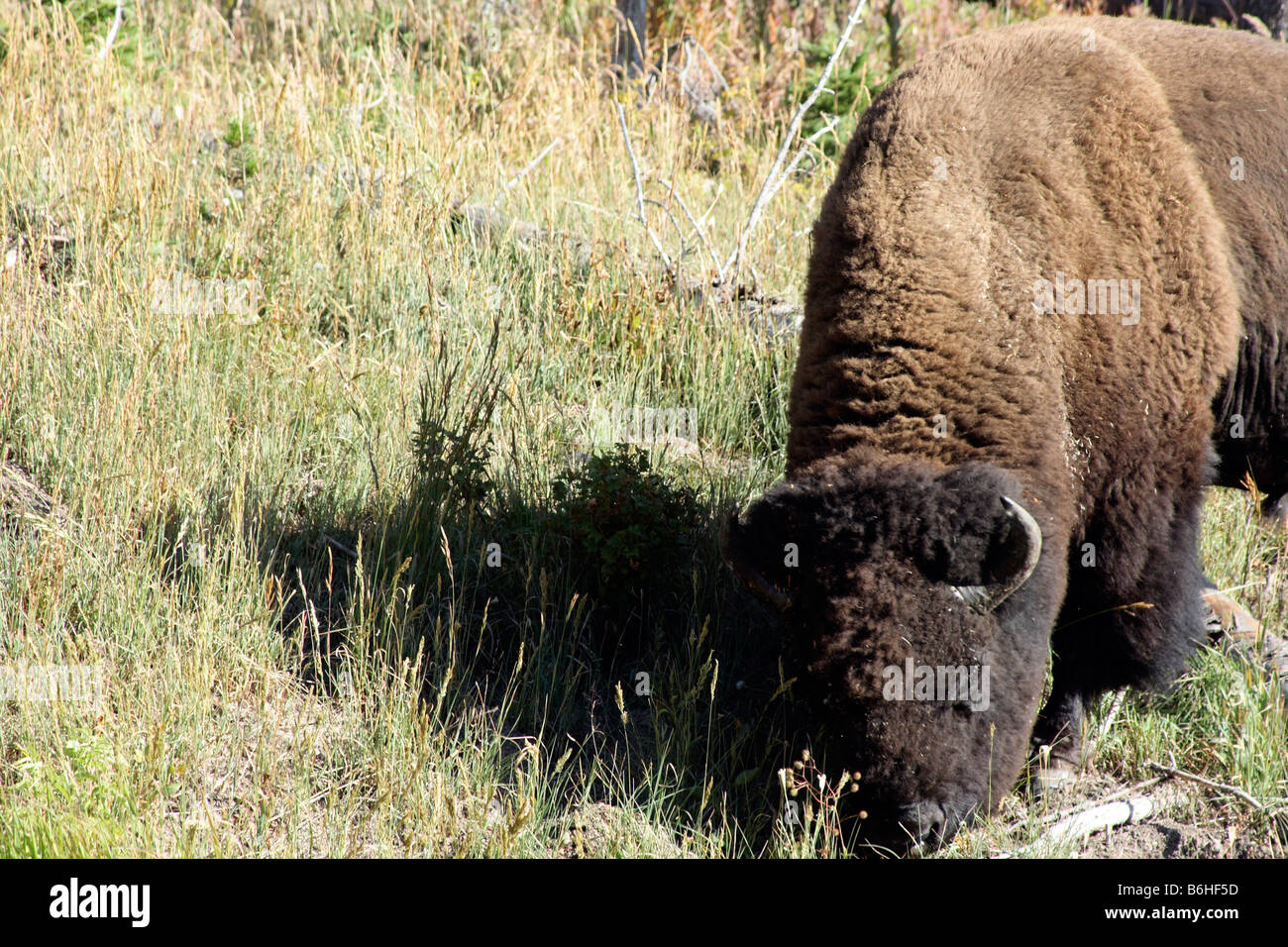 130 ft tall hi-res stock photography and images - Alamy