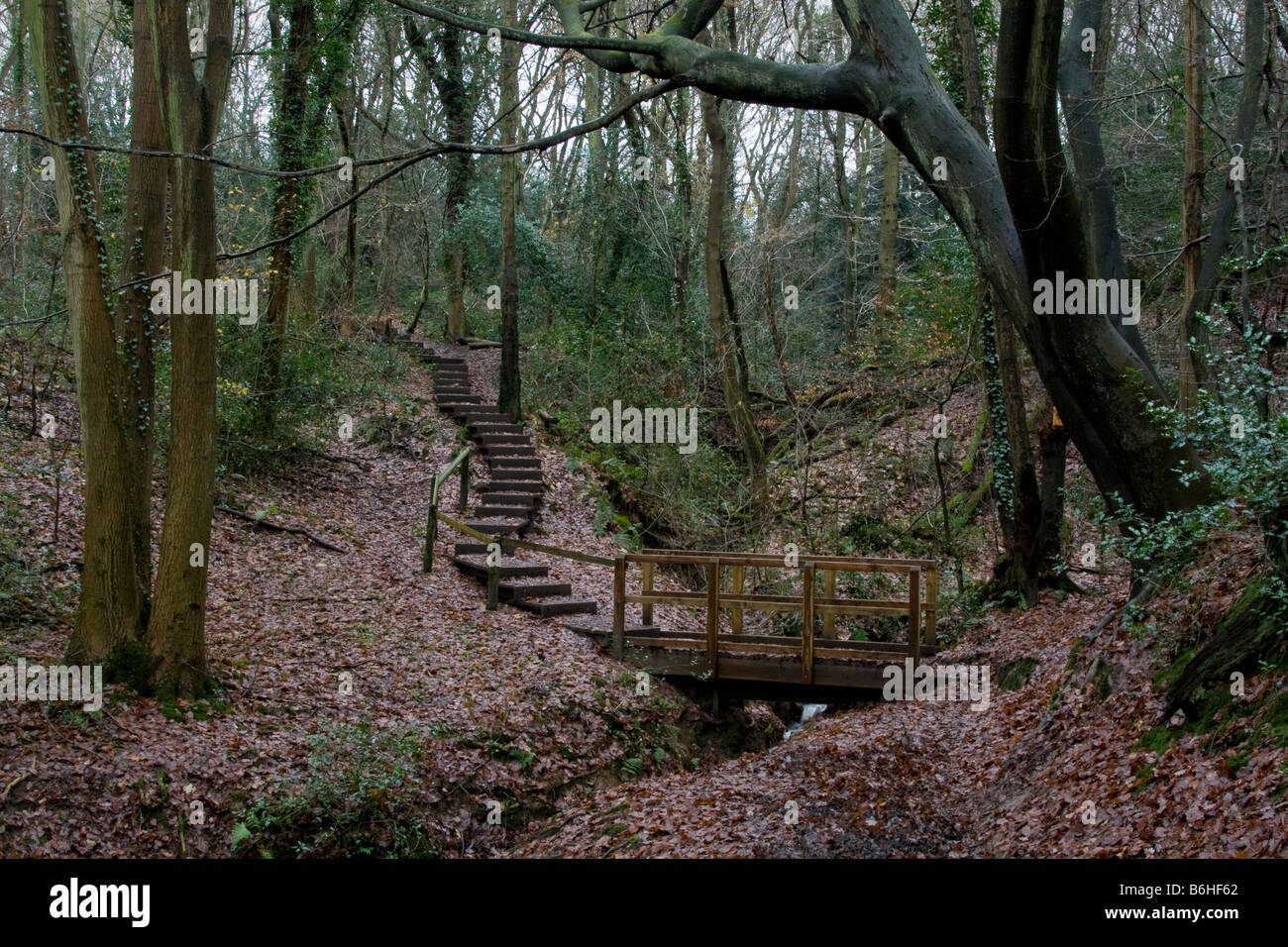 Wooden bridge and steps in Benthall Edge Woods near Ironbridge ...