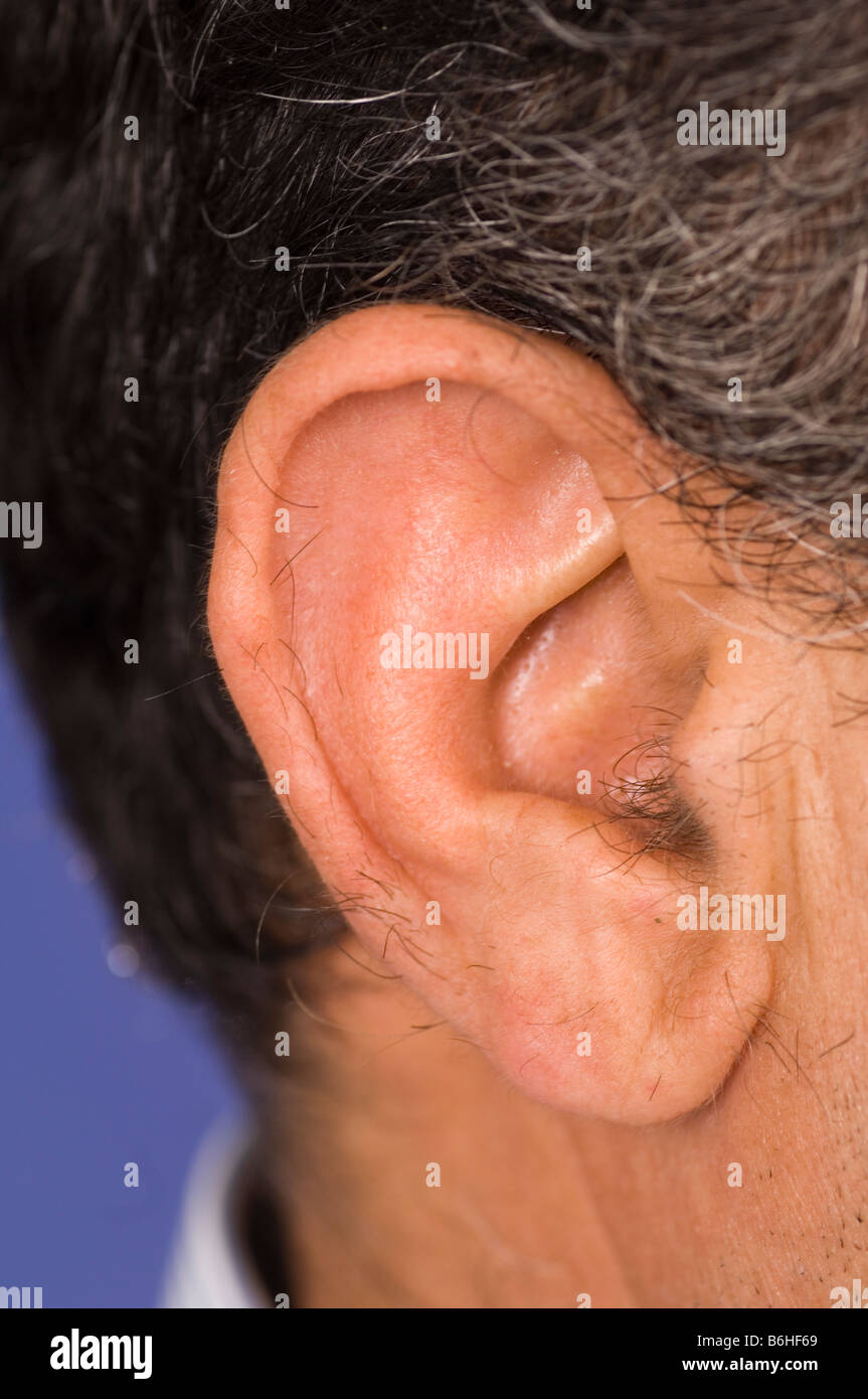 Anatomy male hi-res stock photography and images - Alamy