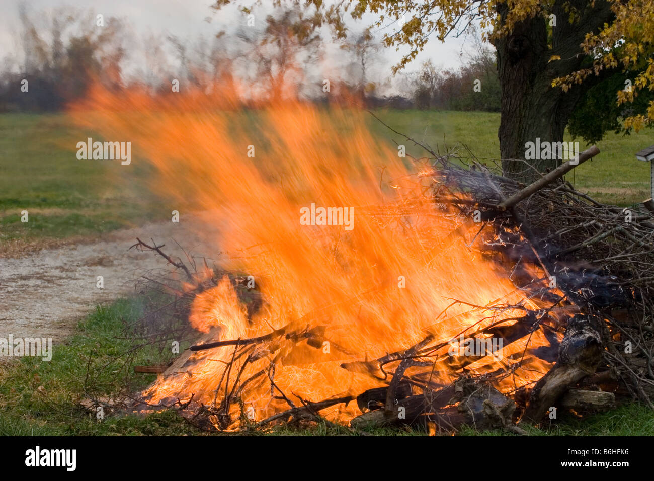 Blurred Leaping flames in a bonfire burning garden refuse Stock Photo ...