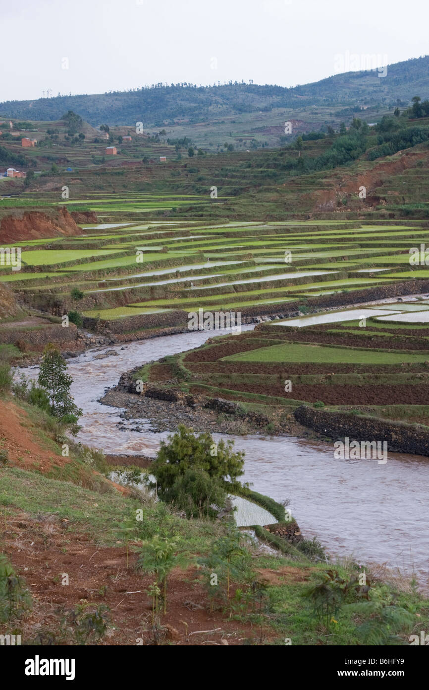 Madagascar rice terrace hi-res stock photography and images - Alamy