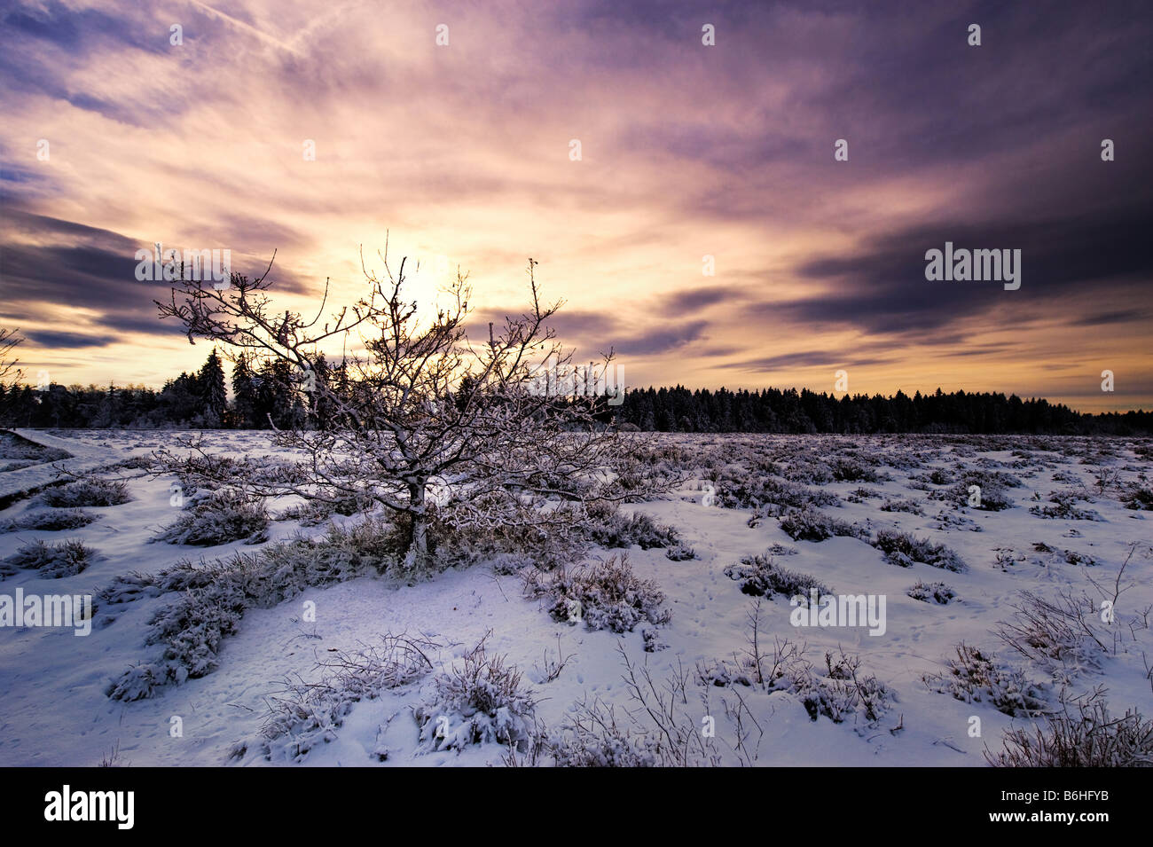 Belgium landscape hi-res stock photography and images - Alamy