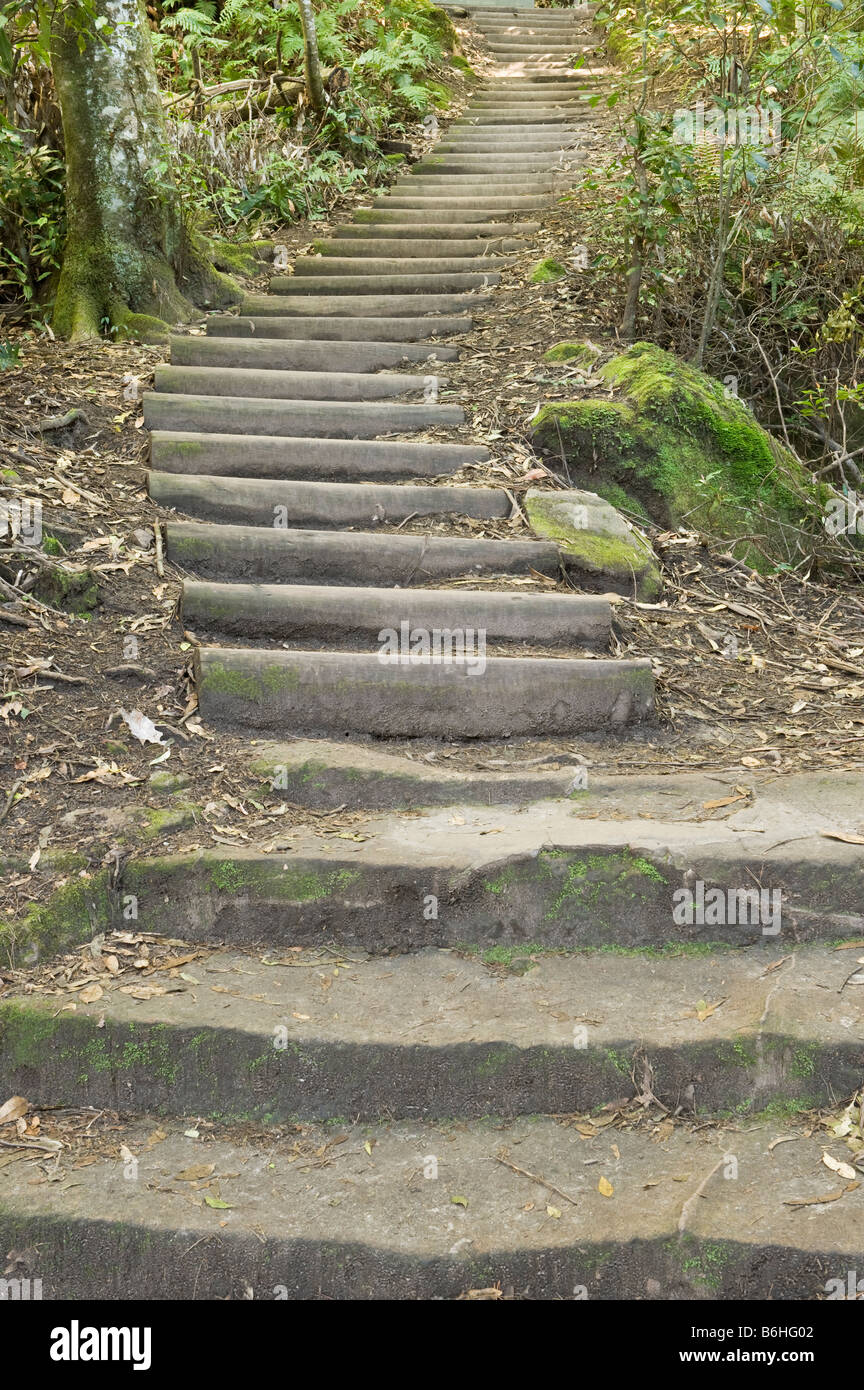 Worn stone steps hi-res stock photography and images - Alamy