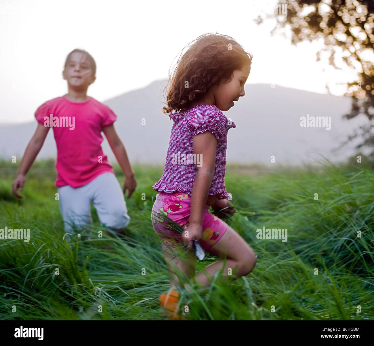 two girls having fun in high grass Stock Photo - Alamy