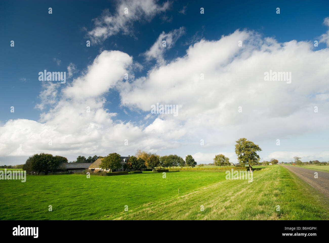 farmland landscape in the netherlands Stock Photo - Alamy