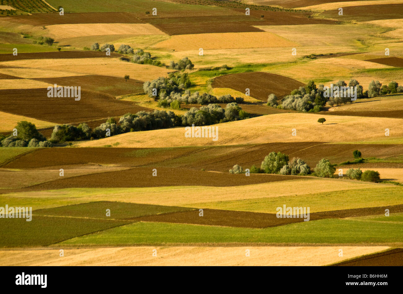 Mesopotamia agriculture hi-res stock photography and images - Alamy