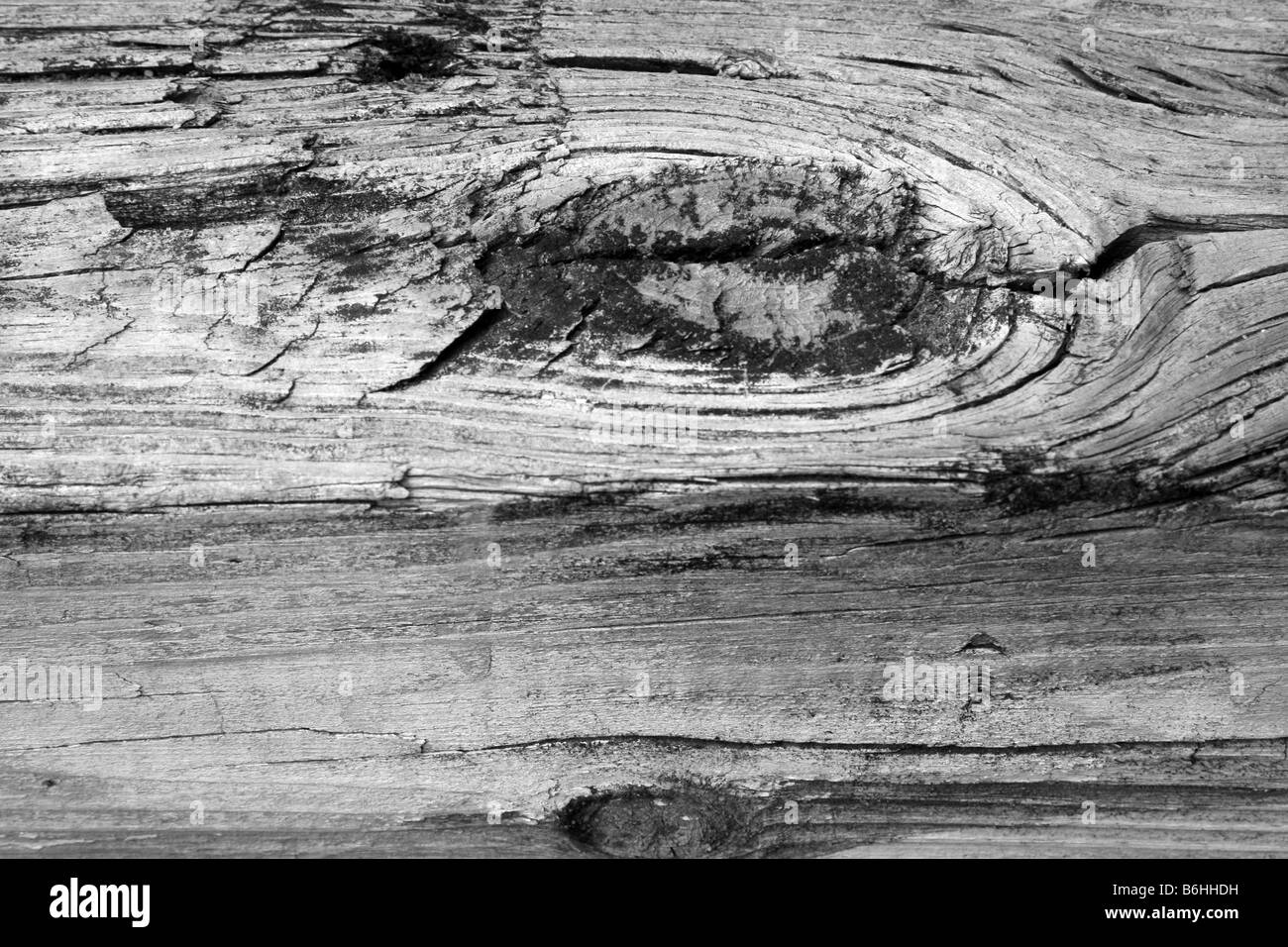 Rough appearance Black and White Stock Photos & Images - Alamy