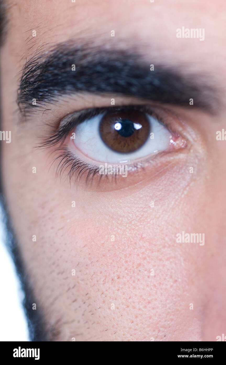 Eyeball Anatomy Stock Photos & Eyeball Anatomy Stock Images - Alamy