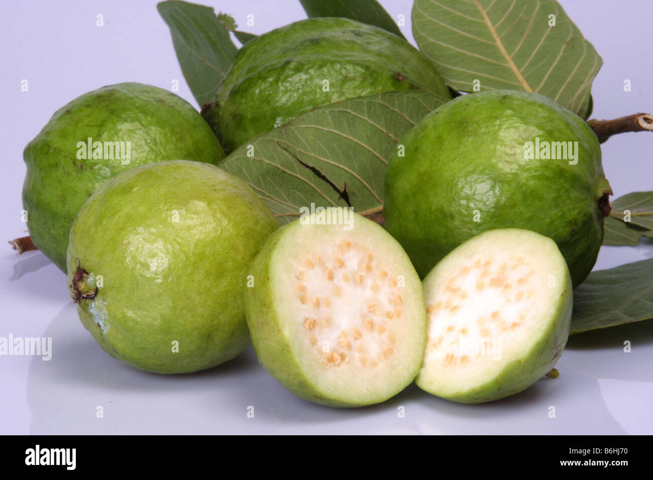 Fresh Guava fruit Stock Photo - Alamy