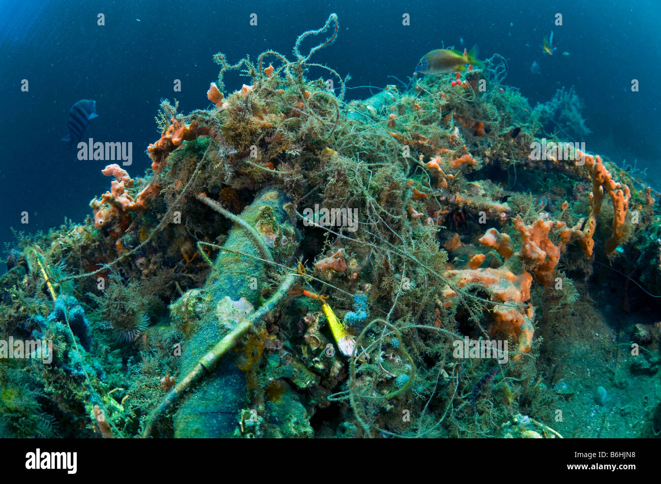 Underwater pollution hi-res stock photography and images - Alamy
